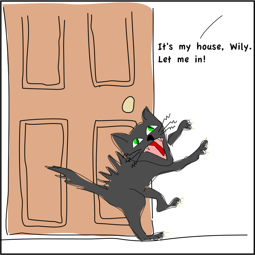 More than a trace of nuts: The one about the cat