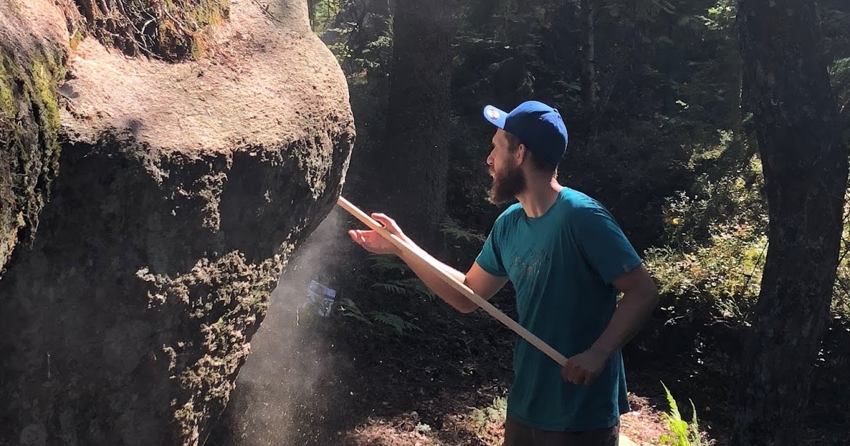 Bratte steiner: En fin uke i skogen