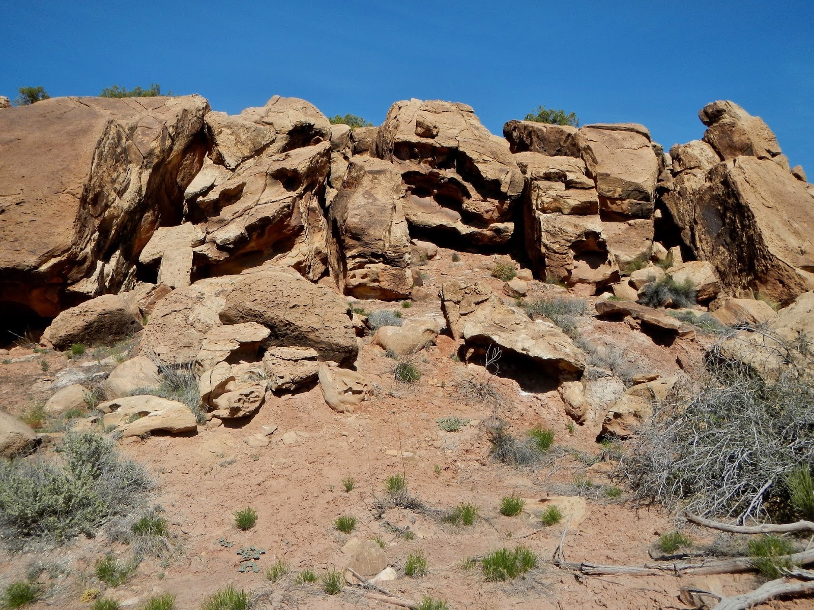 The Southwest Through Wide Brown Eyes: Copper Ridge Dinosaur Trackways ...