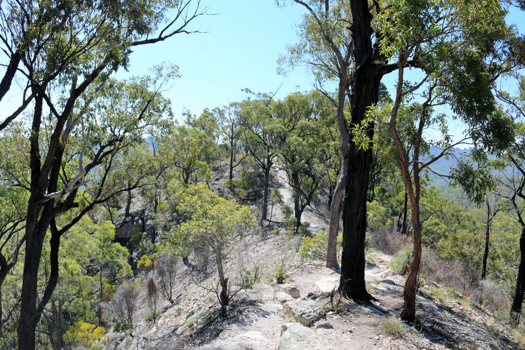 National Park Odyssey: Isla Gorge National Park, QLD.