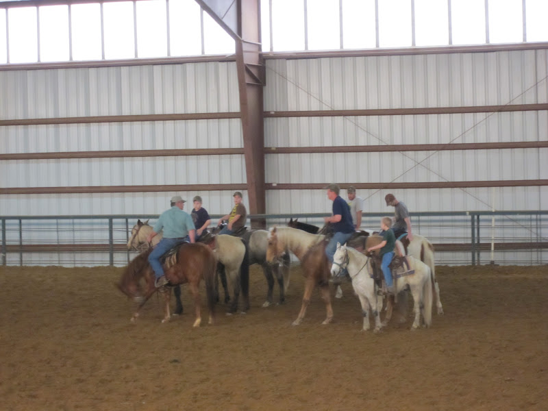 Chronicles of Emma: Donkey Sorting!