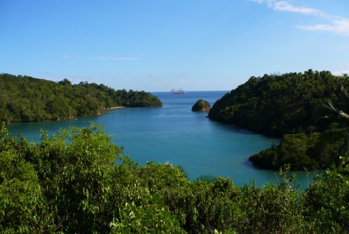 Lembeh Straits Travel your amazing dive with unique Nudibranch - Trevindos