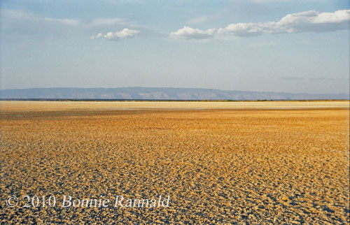 Bonnie Rannald's Photo-Explorations in focus with nature. : Sand Dunes ...