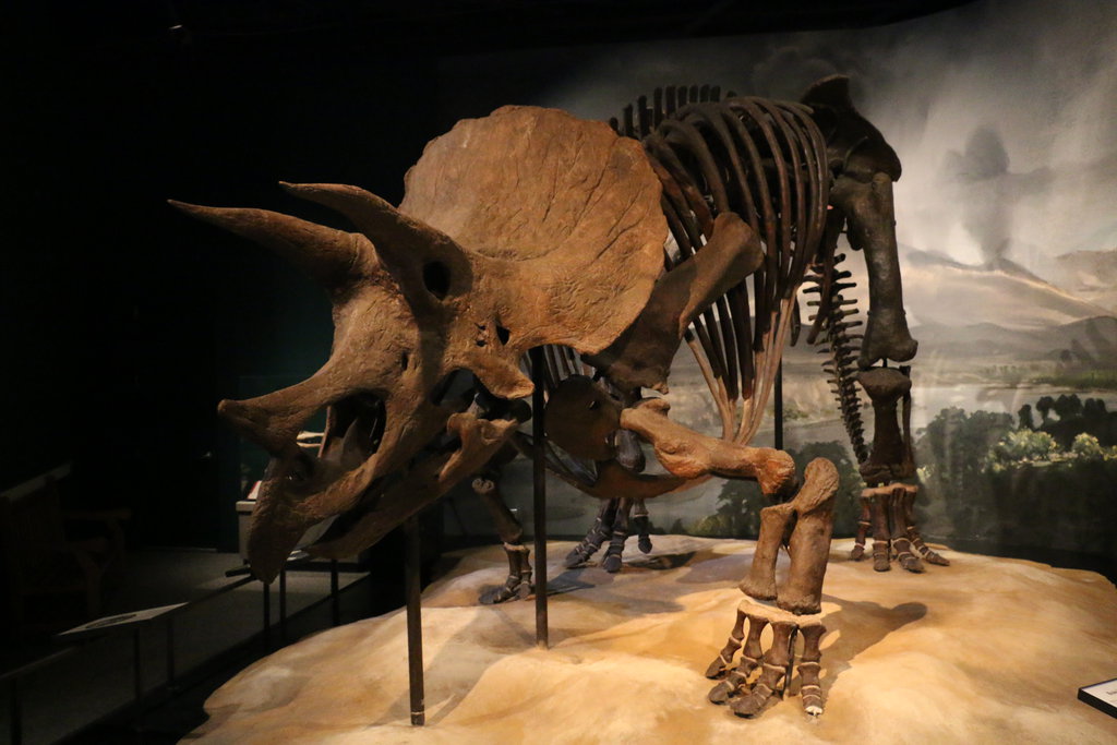 The Amazing World of Dinosaurs: An Interview with James Kuether ...