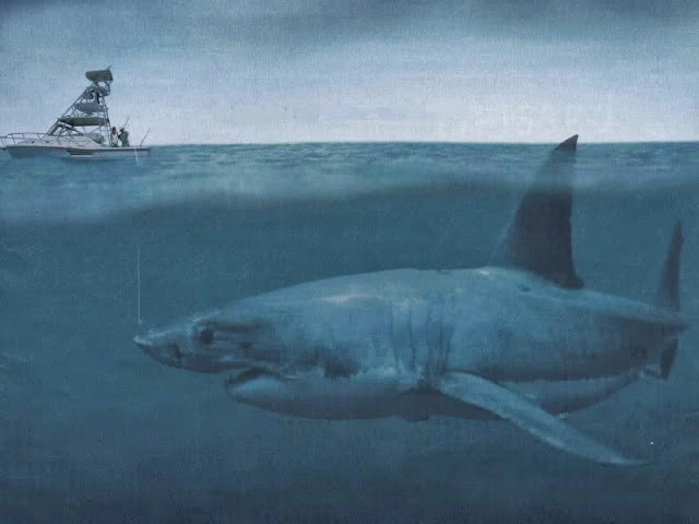 9 PREDATOR ANCIENT WATER CHILLING :: Fisheries Information