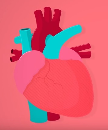 Dr. Roger Coletti: Dr. Roger Coletti