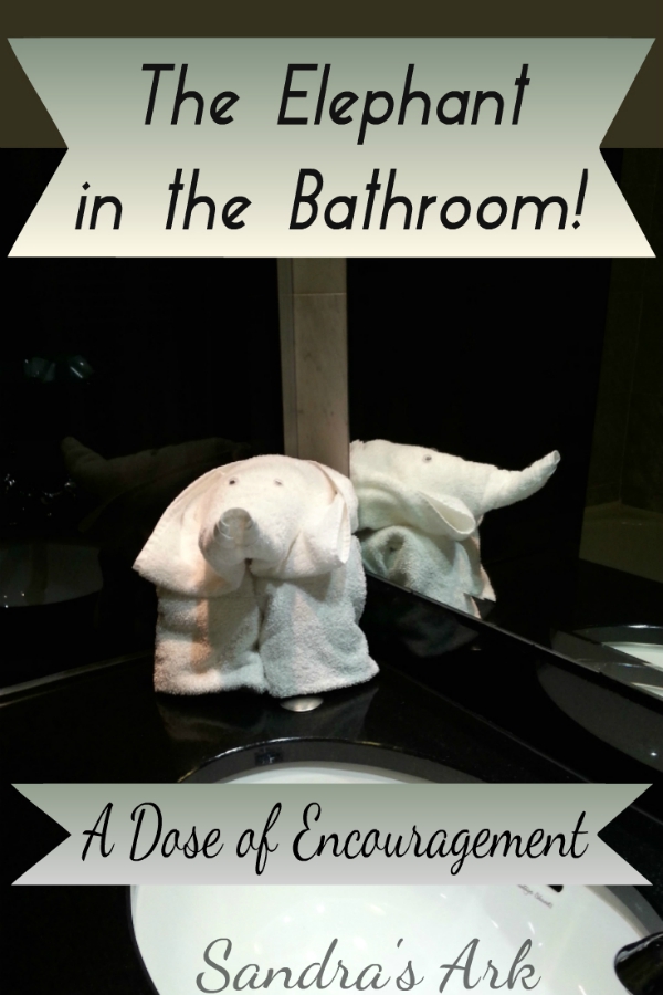 Sandra's Ark: The Elephant in the Bathroom! - A dose of Encouragement