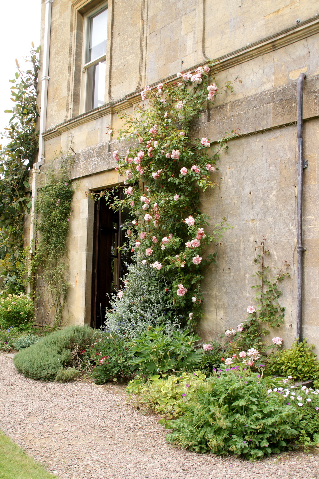 Organic Garden Dreams: Kiftsgate Court Gardens, England I