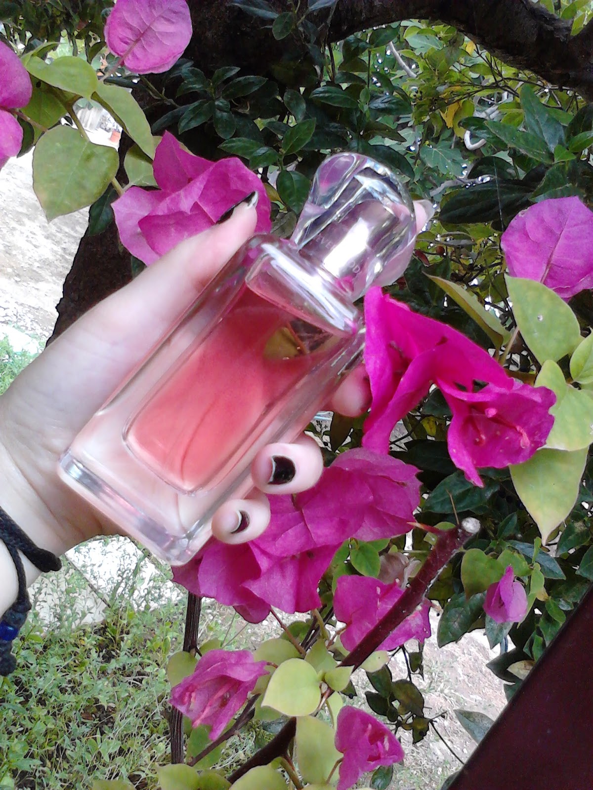 MY PARFUM COLLECTION