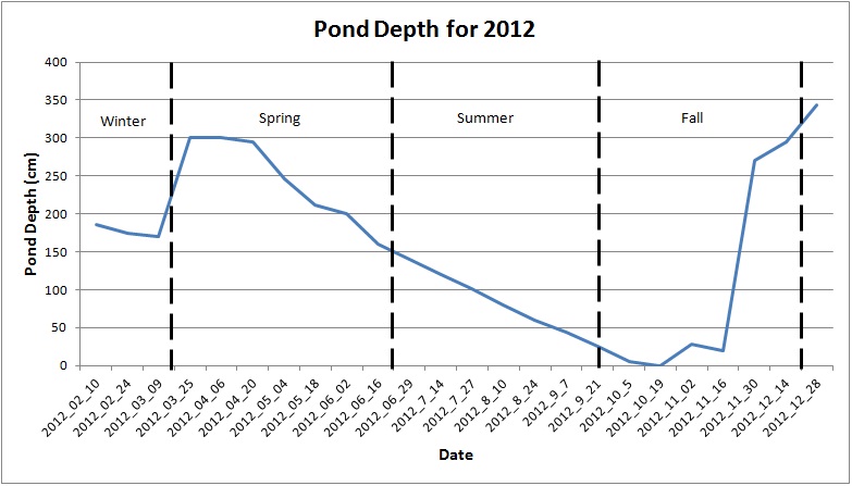 Pepperwood Field Notes: Conservation of the Western Pond Turtle