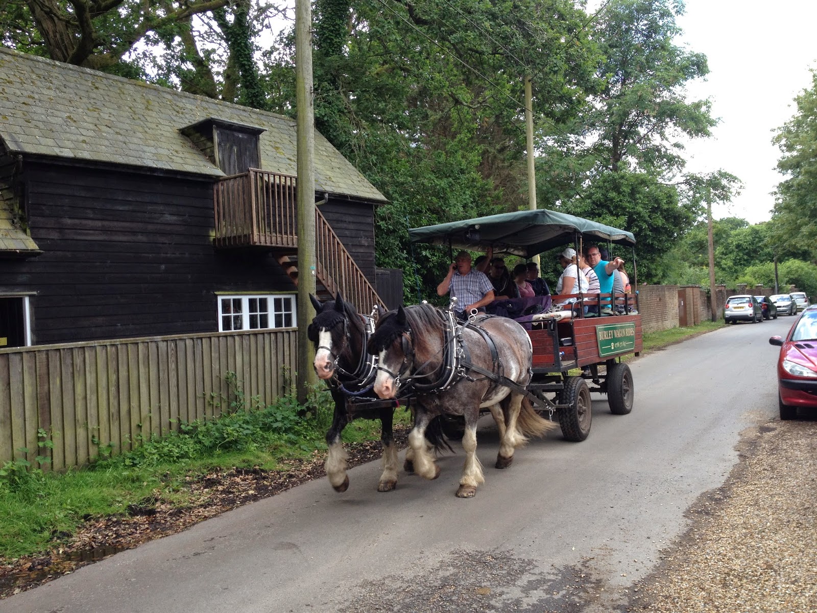 365 Days.: Gardens open for charity - Durmast House.