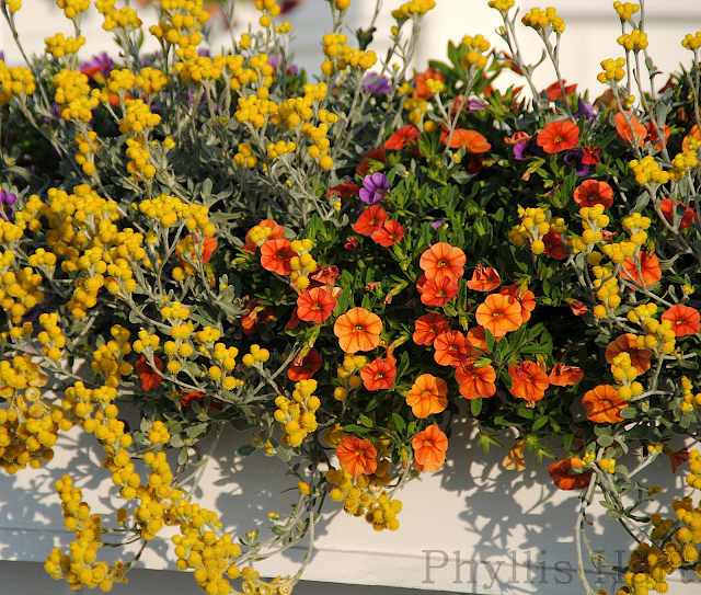 a place to hang my pictures: The Color Wheel, part one exploration with Kat