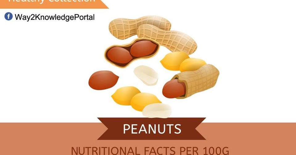 Time Pass Snack - Afuni's Knowledge Hub