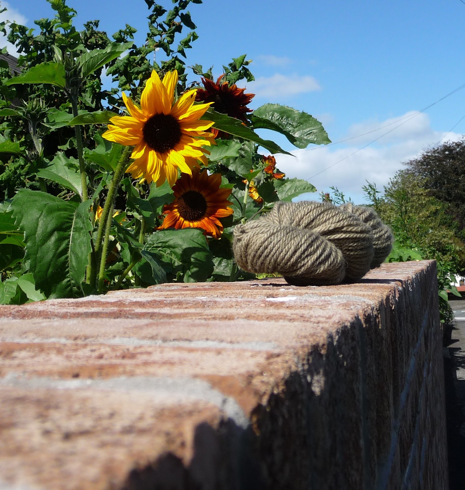 Wool - Tribulations of Hand Spinning and Herbal Dyeing: Making ...