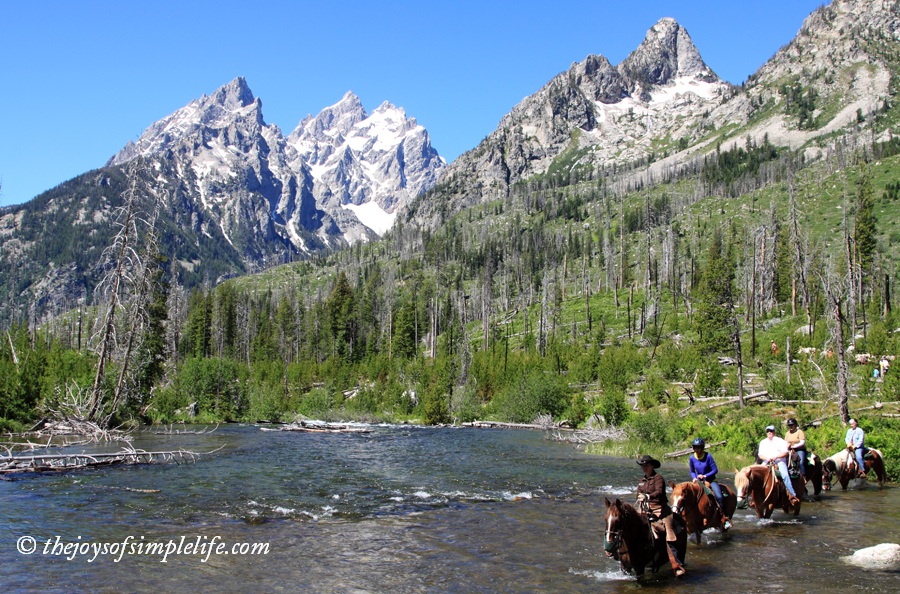 The Joys of Simple Life: String Lake Trailhead to Hidden Falls and ...