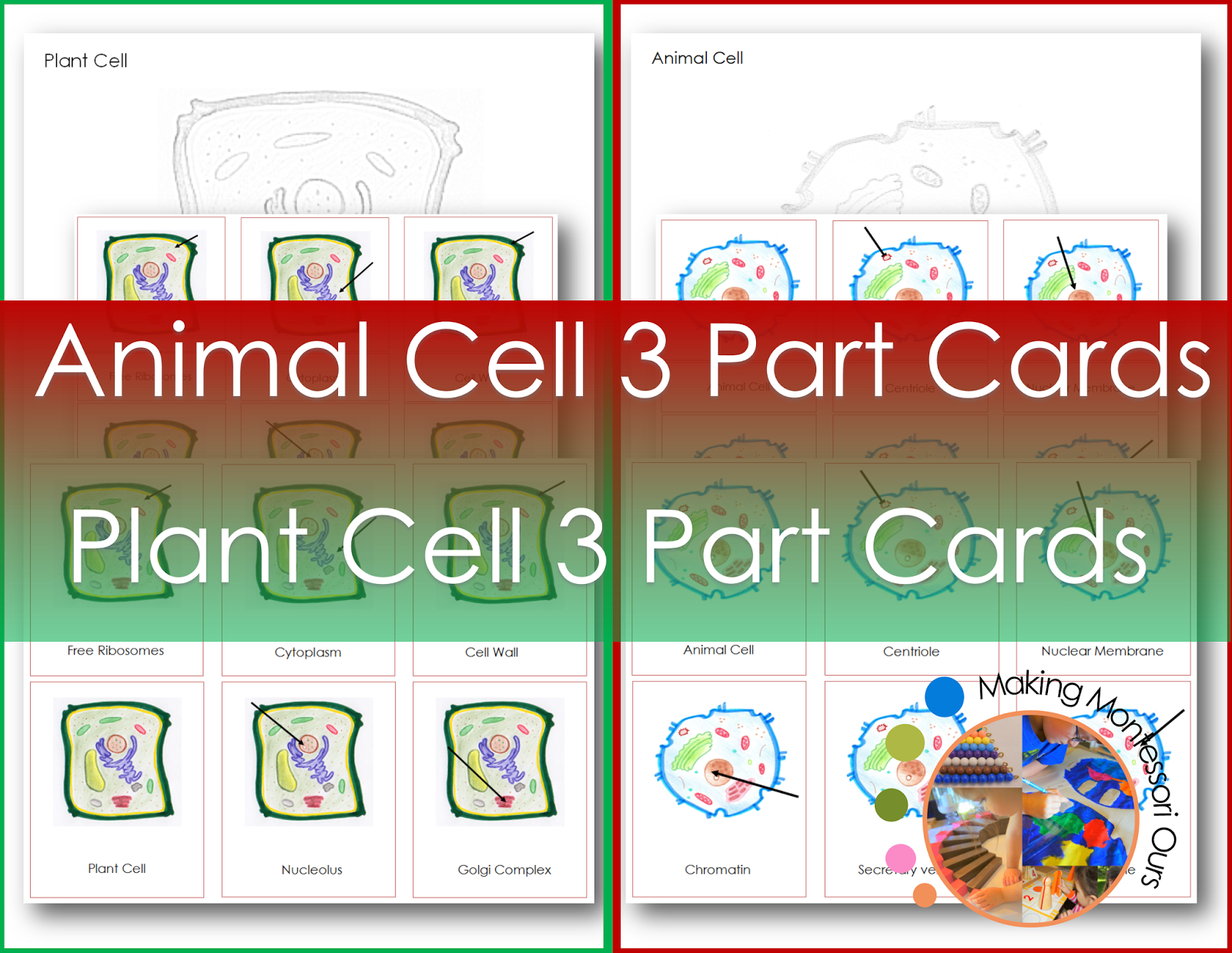 NEW!! Six Kingdoms Individual Printable Material Packages Now Available ...