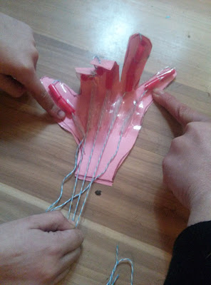 Learning About The Human Body Part 1: The Skeletal And Muscular Systems