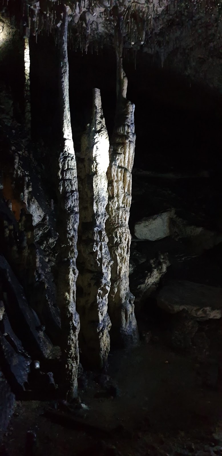 Pasionati de frumos !: Cheile Șugău - Peștera Tunel - Peștera Munticelu ...