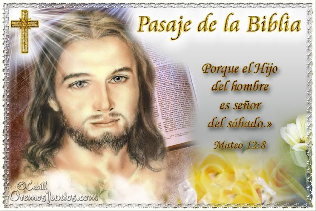 Vidas Santas: Santo Evangelio según san Mateo 12:8