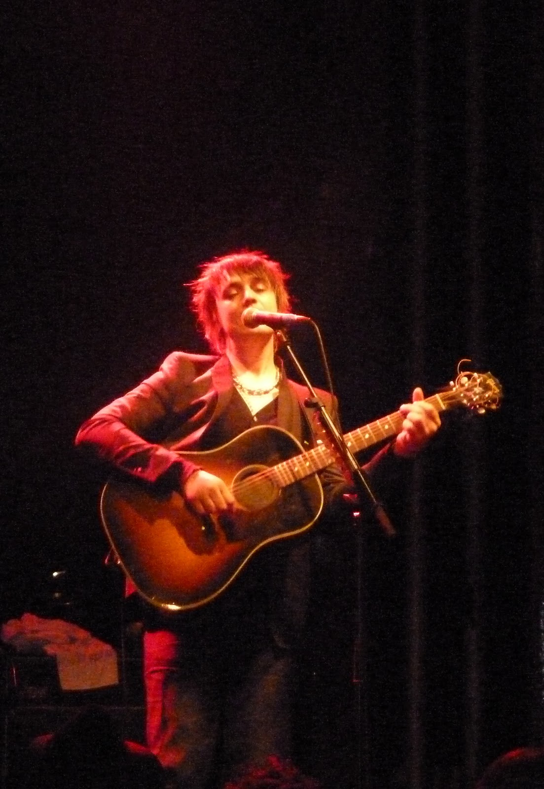 Concierto de Peter Doherty - Elisenda Hernández Janés