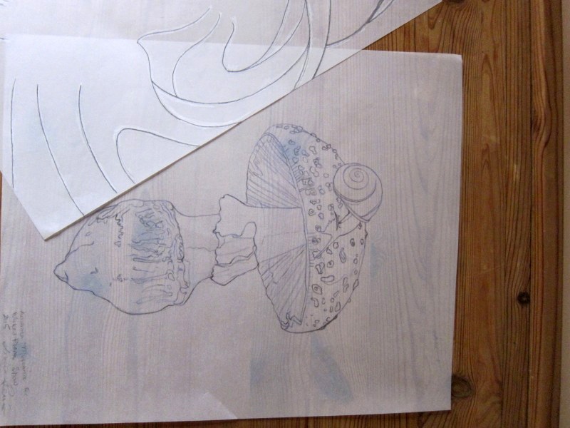 Botangle: My “Wicked Plants” Entry: Tangled Toadstool