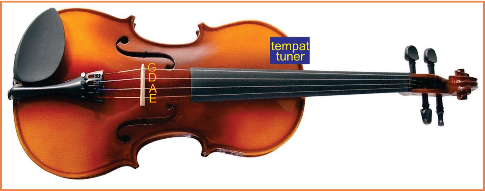 Cara Stem Biola - SEPUTAR MUSIK