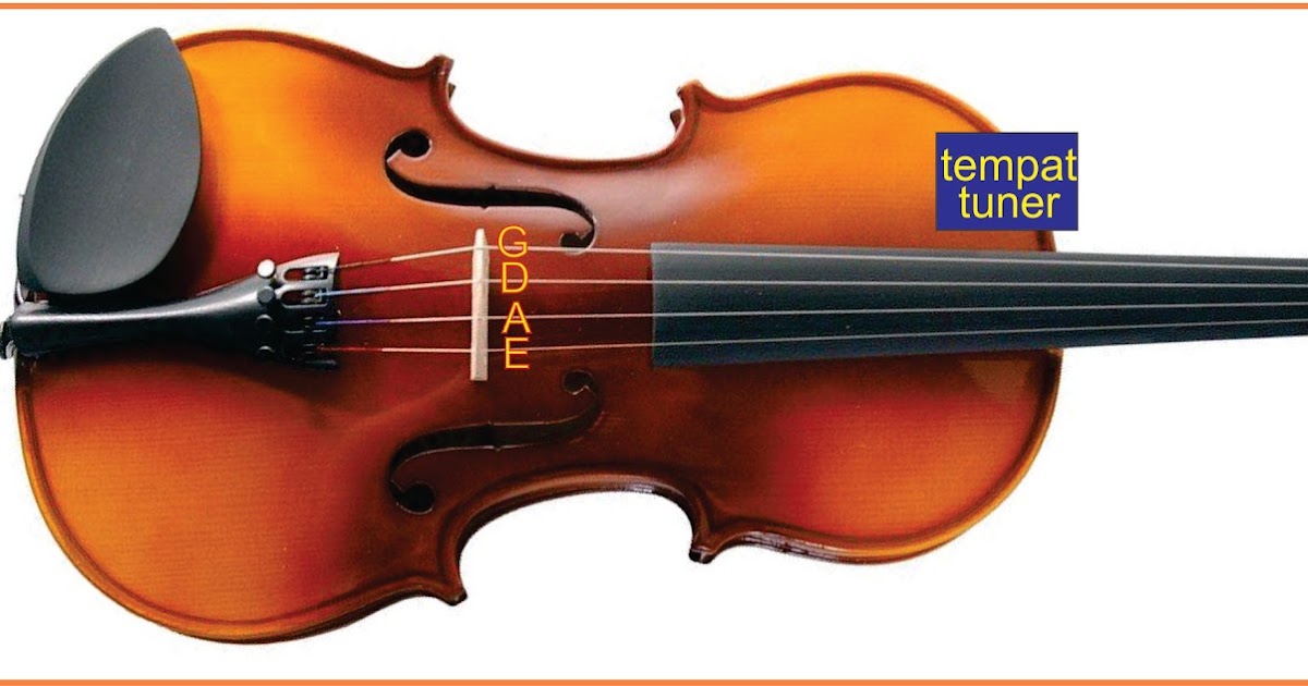 Cara Stem Biola - SEPUTAR MUSIK