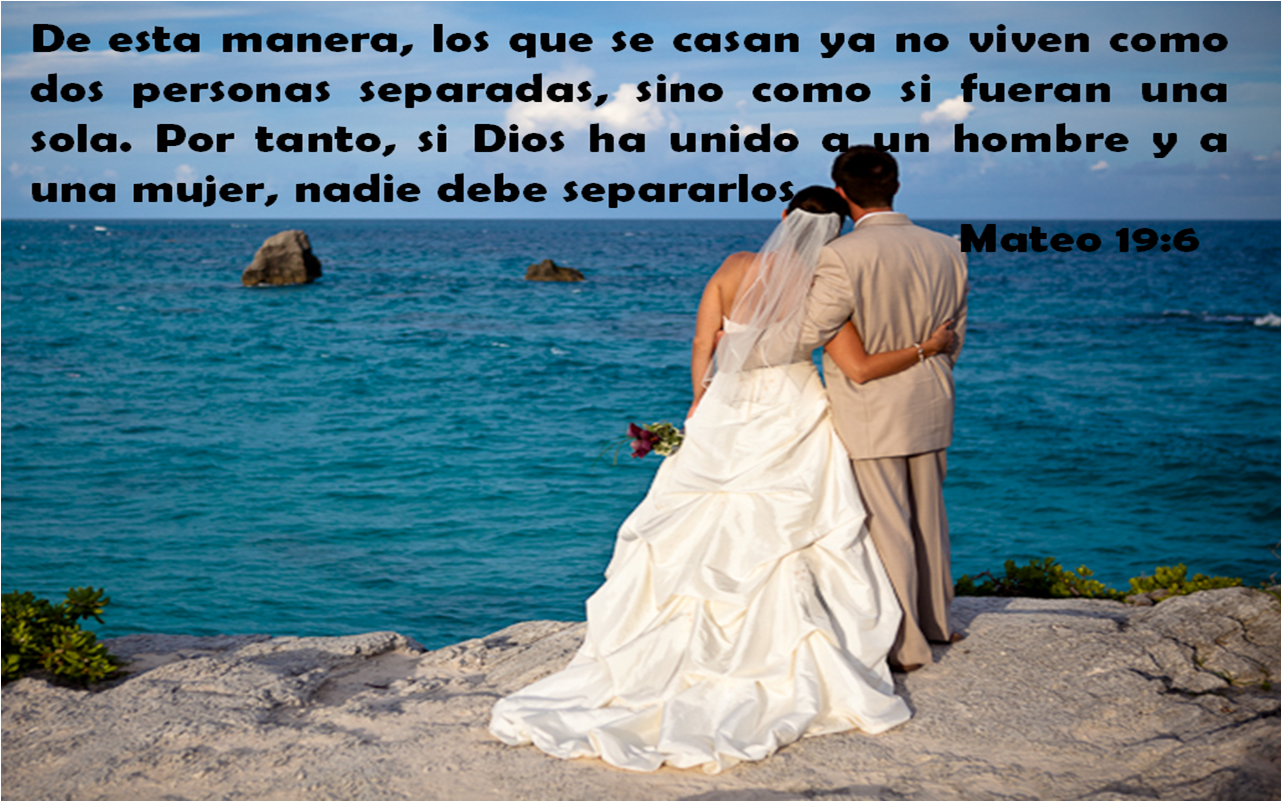 Palabra de Dios: Lo que Dios ha unido, que no lo separe el hombre
