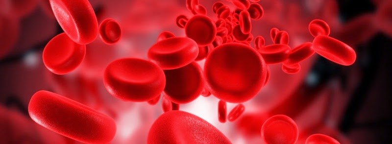I love Biomedicine: Hematologia - Hemácias