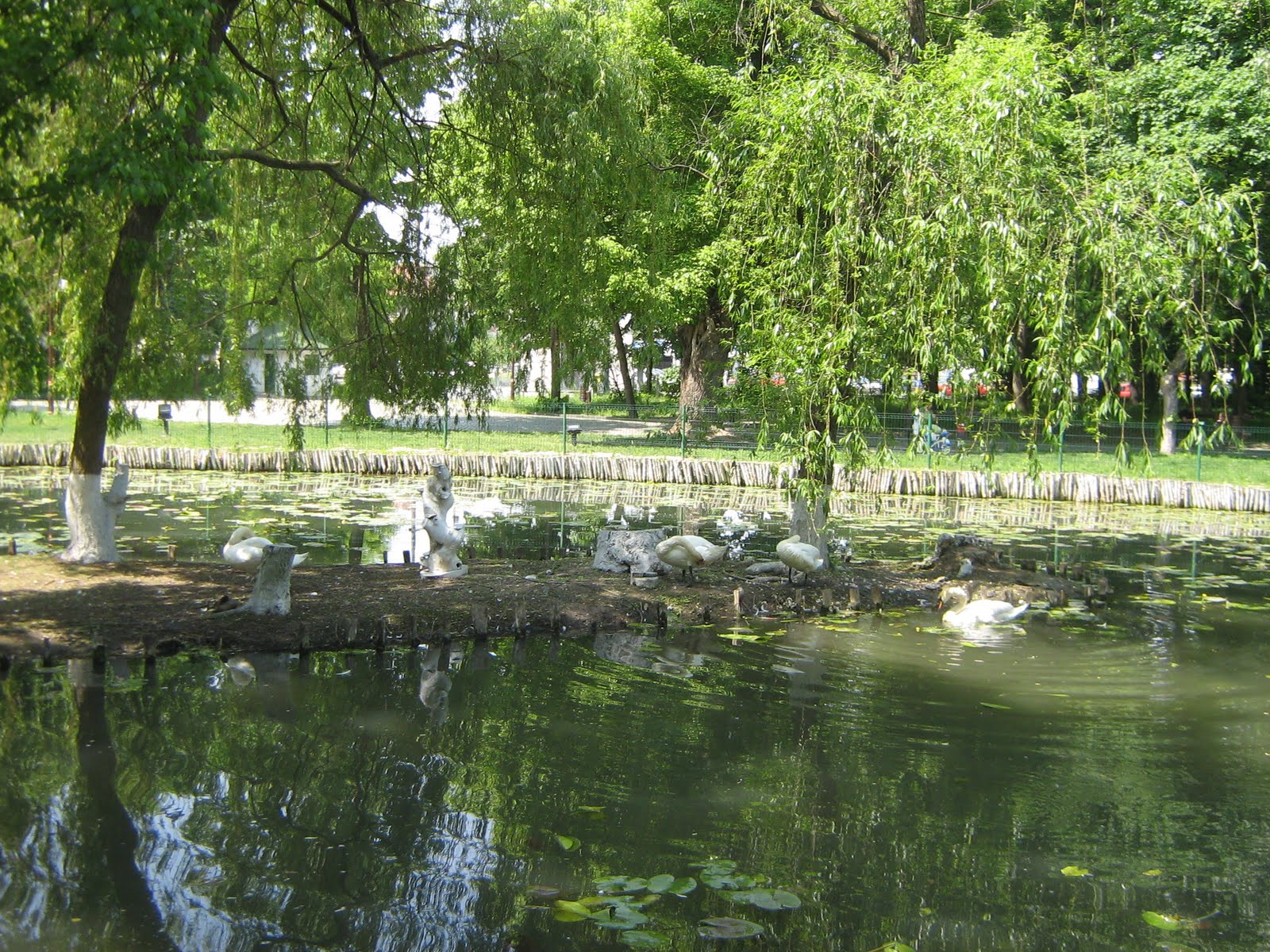 Vorbe de verde: Parcul Nicolae Romanescu din Craiova