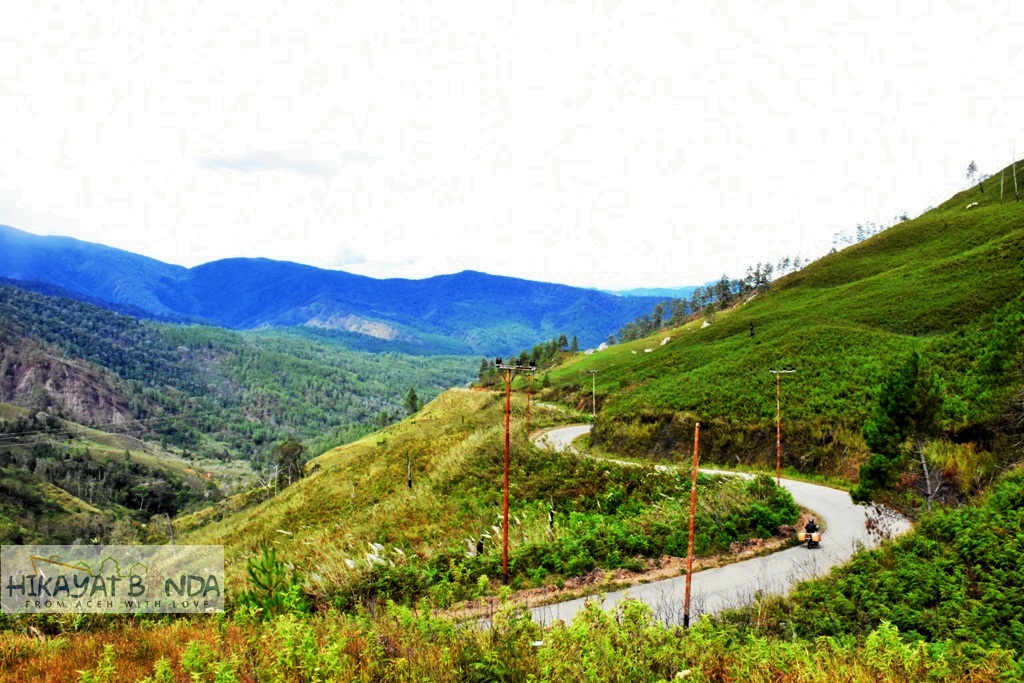 Gayo Lues, Tempat Dua Warisan Dunia Dititipkan