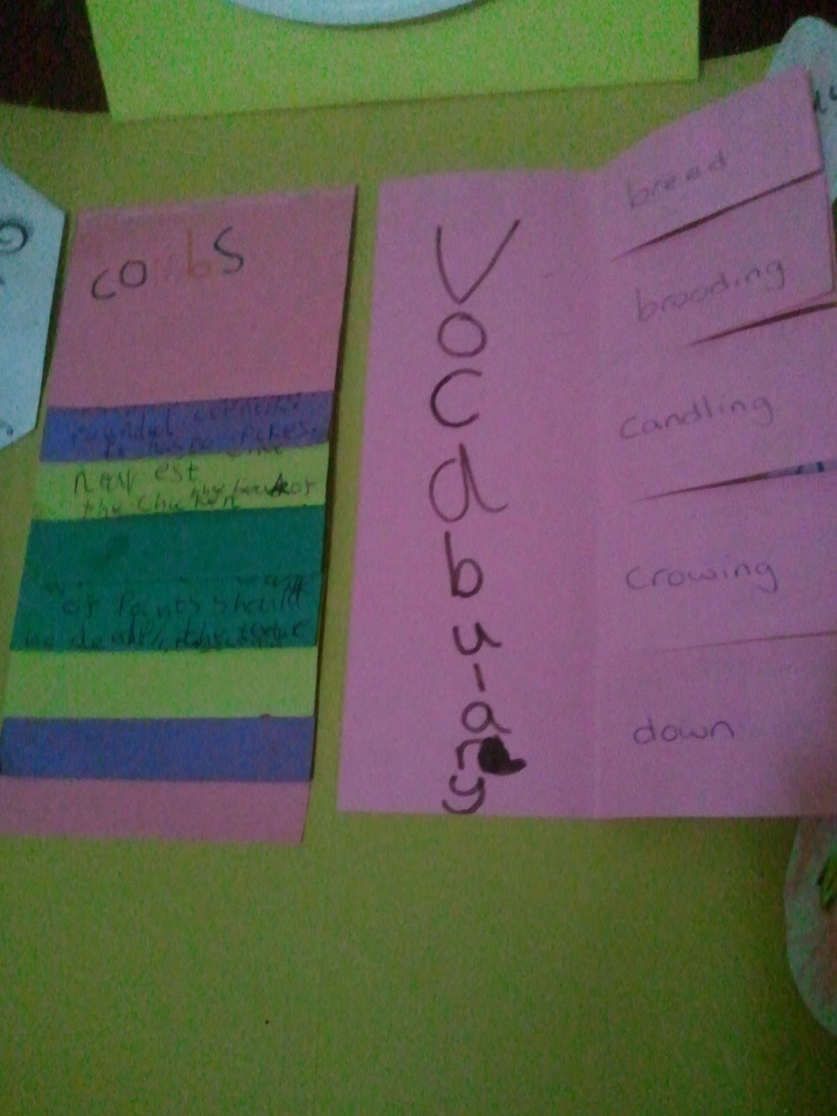 Journey to Self Sufficiency: Chicken lapbook