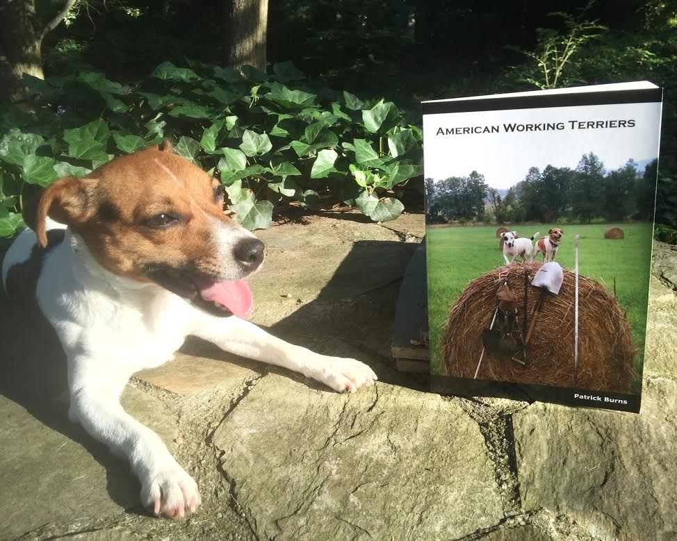 Terrierman's Daily Dose: The Only Book on Practical Terrier Work