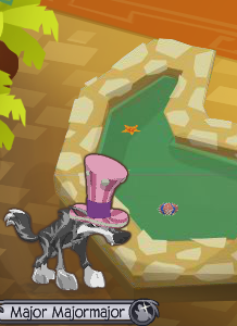 Animal Jam Party: TIde Pool