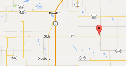 The view from here: Torrington, Alberta