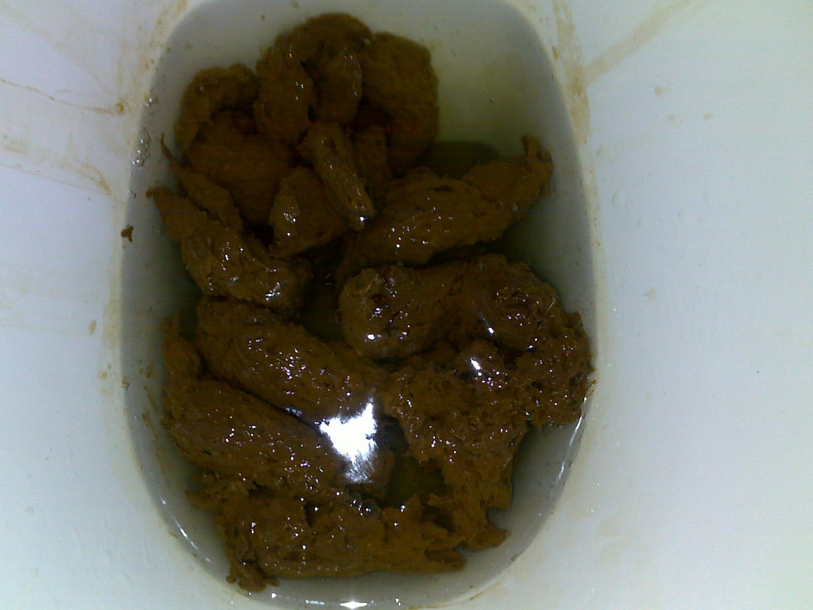 OLHA A MERDA - Fotos - Los Katchorros