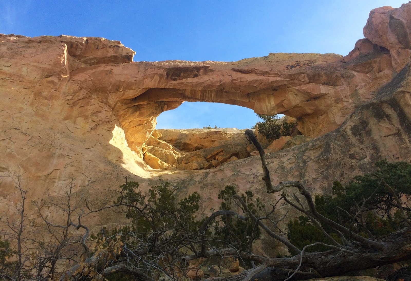 Rambling Hemlock: Sandstone Bluffs in El Malpais National Monument