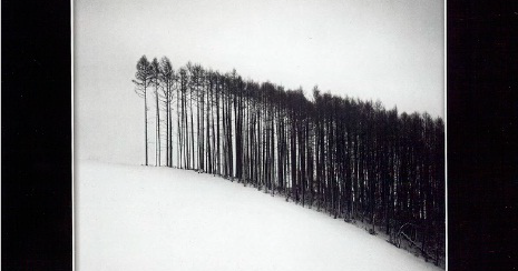 Libros Técnicos: Cálculo, Una Variable - George B. Thomas Jr.