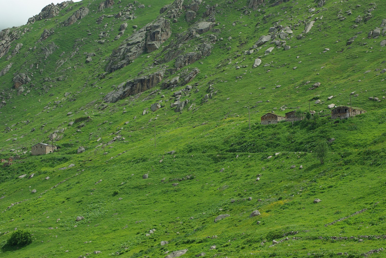 İntor Yaylası: Rize Yaylaları