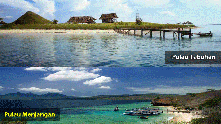 One Day Tour Pulau Menjangan dan Tabuhan via Banyuwangi | ASHANTY TOUR