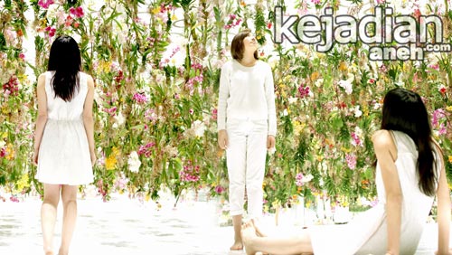 22+ Baru Bunga Floating, Gambar Bunga