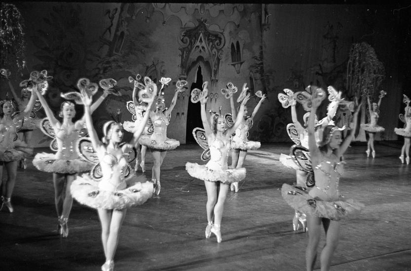 Story of the Week: The VW Years