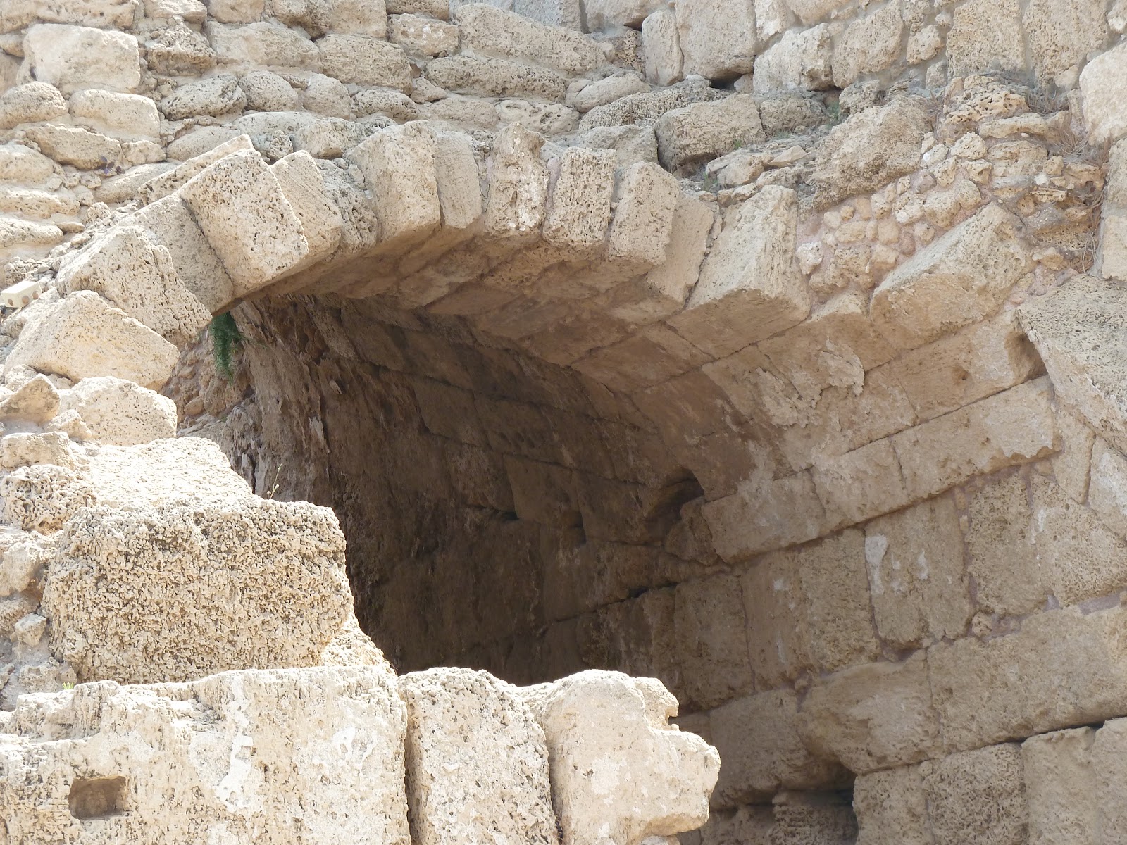 Maues in Israel: June 2012