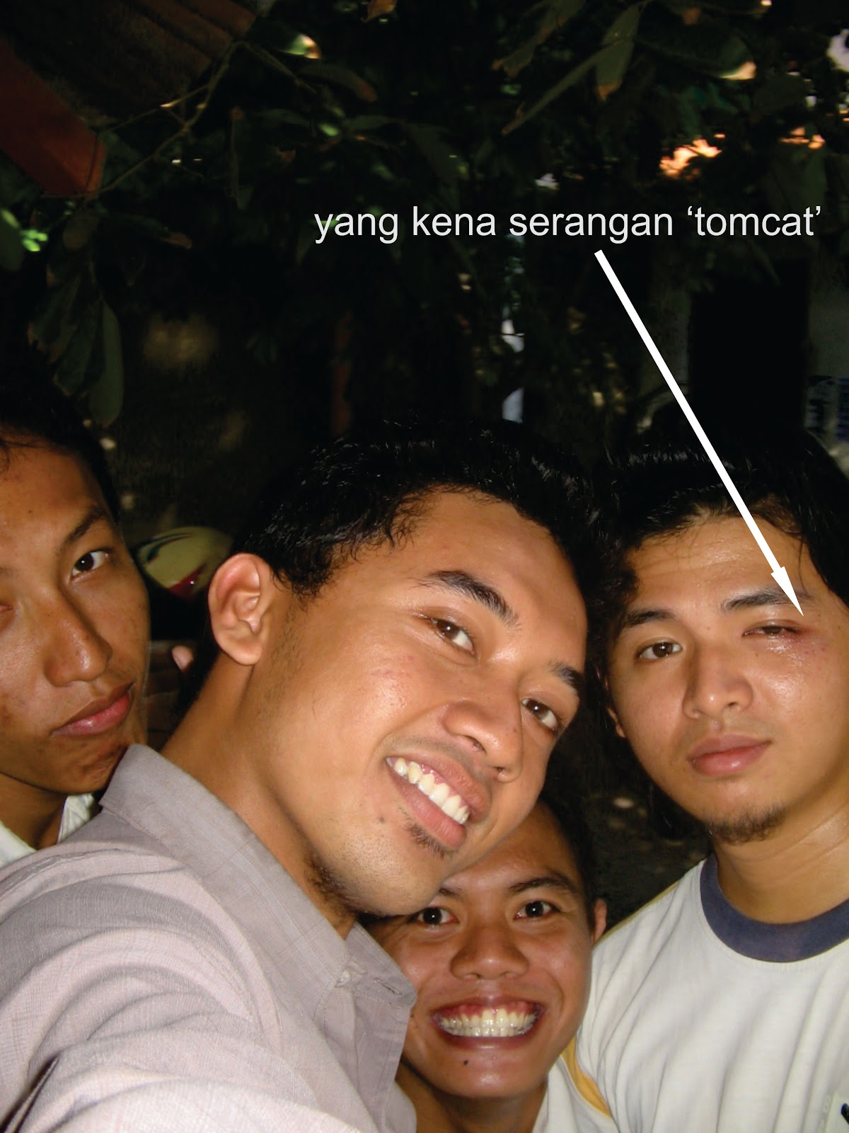 rifqi nur hidayat: Obat Serangan Serangga Tomcat