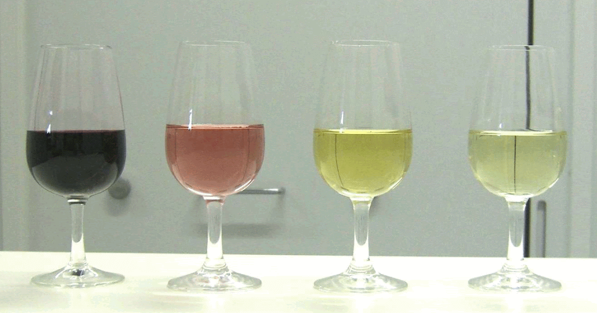 Vinho Verde Portugal: Le Vinho Verde (Vin Vert) c’est quoi