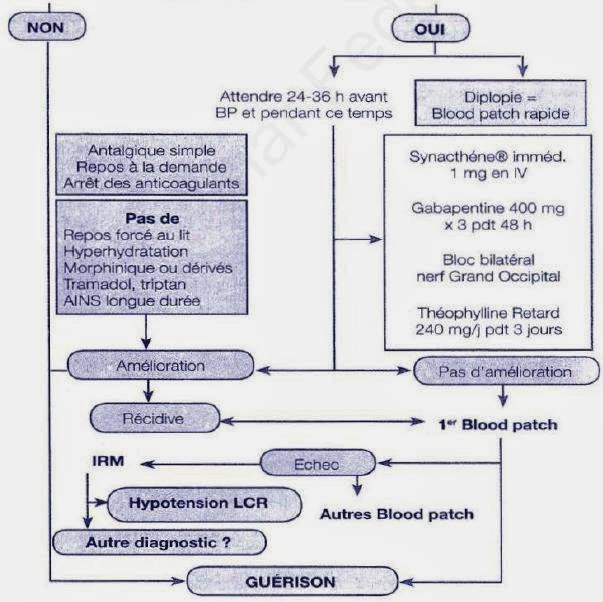 BLOOD PATCH ~ Médecine en français