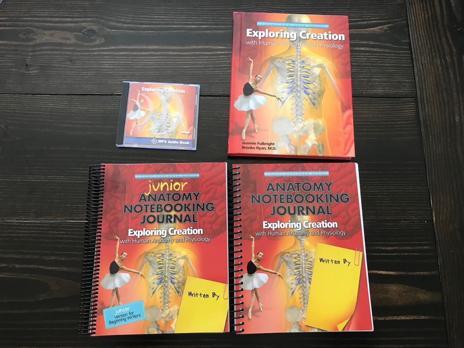 ABC's and Sweet Tea: Exploring Creation with Human Anatomy and ...