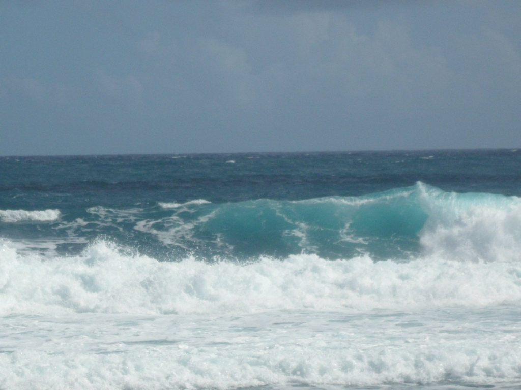 Ocean 101 Cloud 9 Beach Resort: cloud 9 surf report siargao island ...