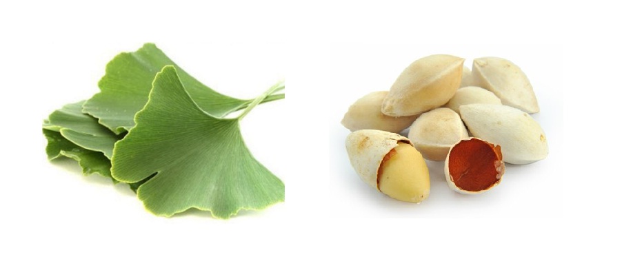 ใบแป๊ะก๊วยสกัดชนิดเม็ด หมอชำนาญ Y-GINK (ตราวาย-กิง)