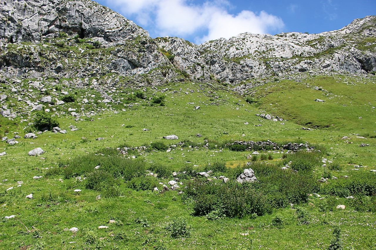 El rincón del entomólogo : Valmartín